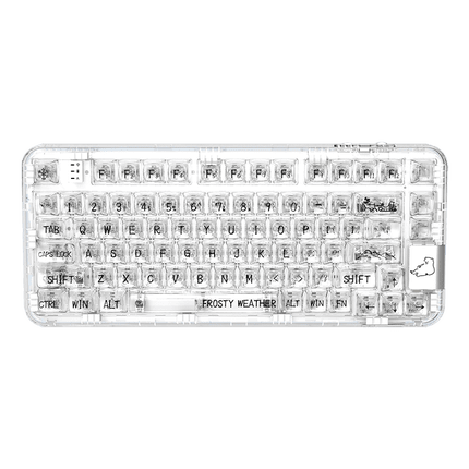 Transparent Keycap Keyboards – mechkeysshop