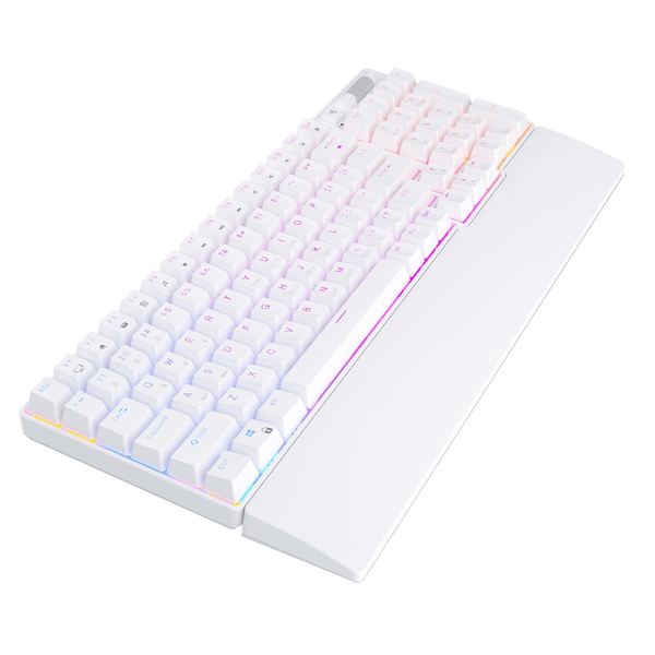 ROYAL KLUDGE RK96 RGB Tri-Mode Hot Swappable Mechanical Keyboard ...